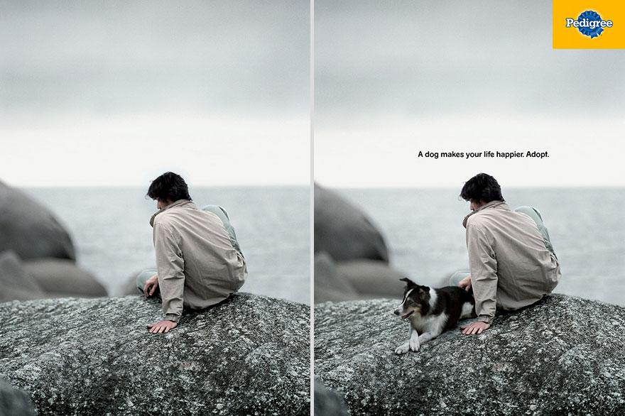 Transform Your Brand with Impactful Print Advertising: Creative ...